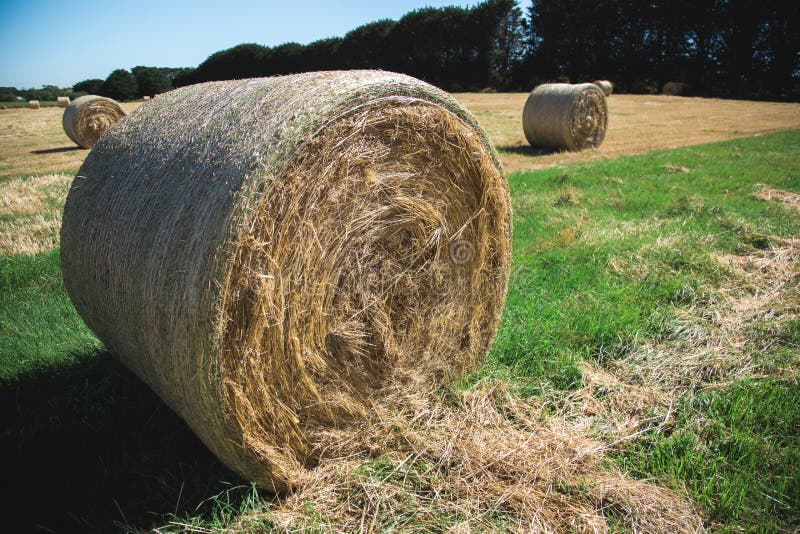 Round Hay Bales stock image. Image of dfarm, blue, green - 83468073