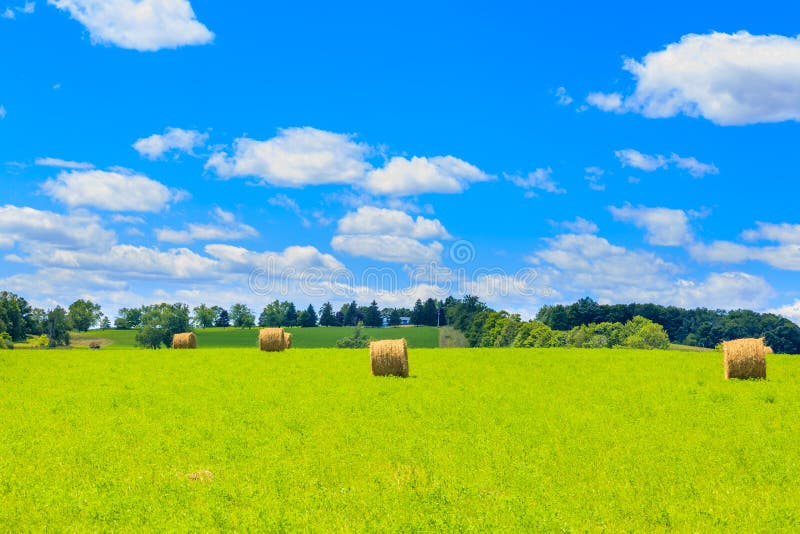 Round Hay Bales on the Green Field Stock Image - Image of agriculture ...