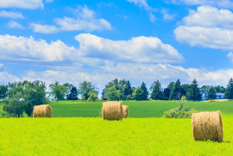 Round Hay Bales on the Green Field Stock Image - Image of agriculture ...