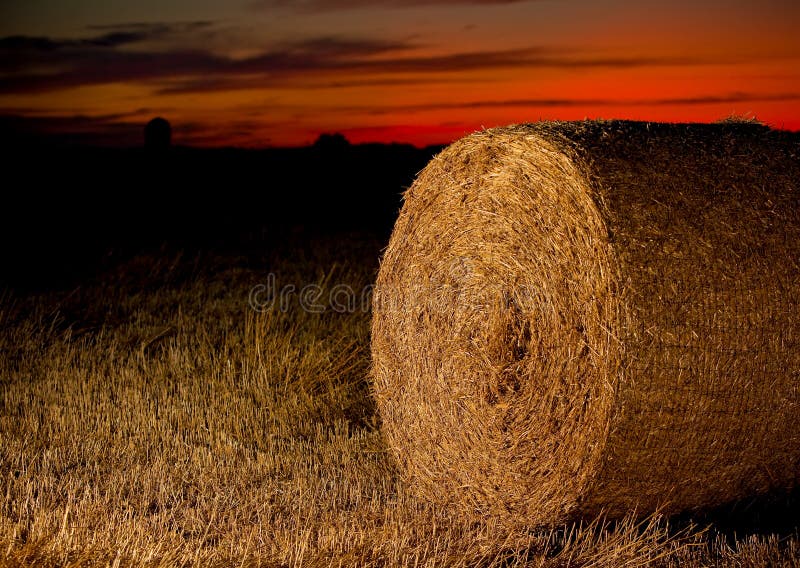Round hay bales stock image. Image of harvesting, pasture - 43367515