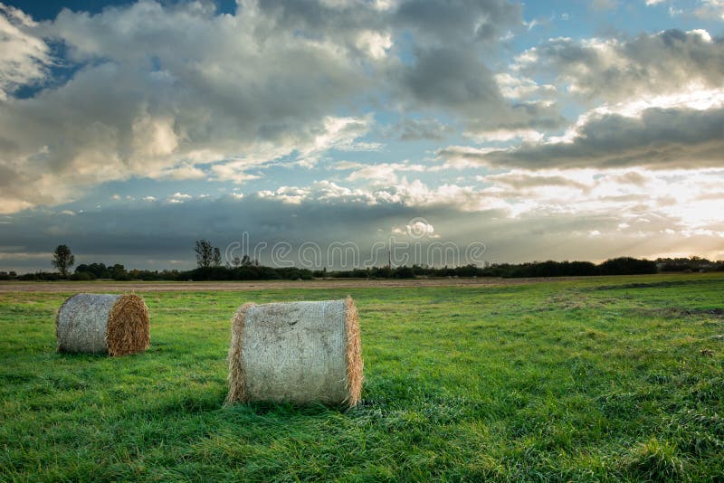 Round Hay Bales Lying on a Meadow, Clouds and Sunshine on the Sky Stock ...