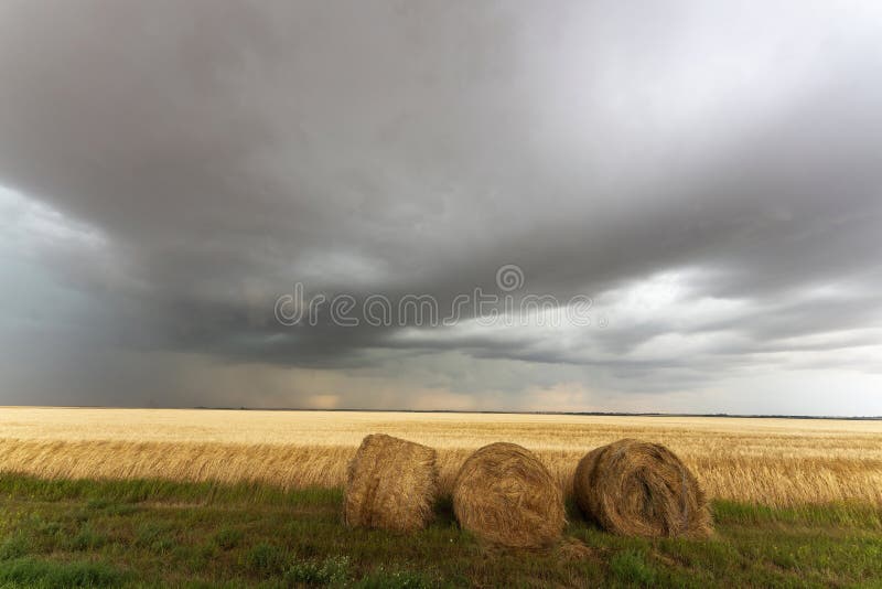 Round Hay Bales Resting in Field before Approaching Storm Clouds Stock ...