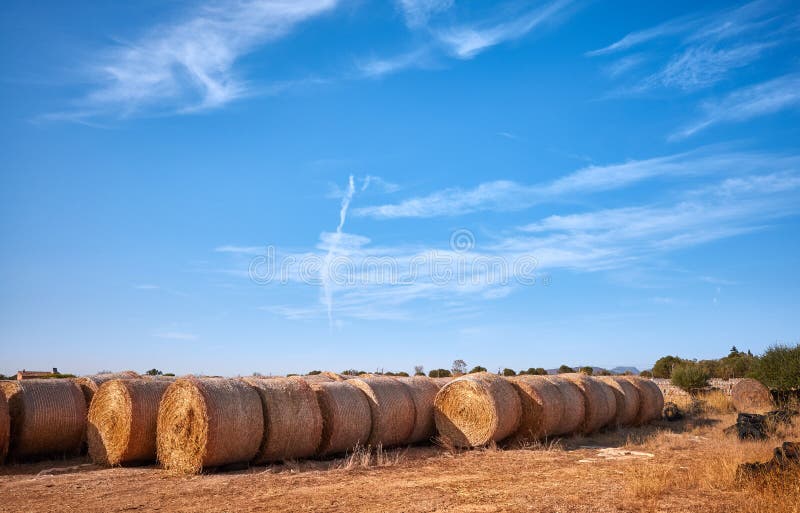Round hay bales at sunset stock image. Image of cloud - 138631153