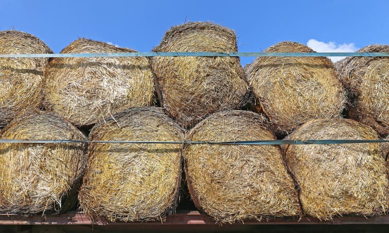 Round Hay Bales stock image. Image of rolled, bales, transport - 57640935