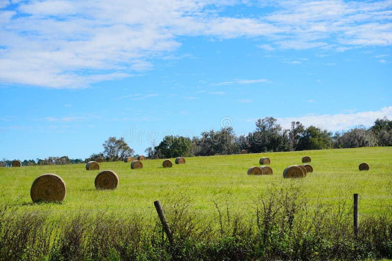 Round Hay Stack in a Florida Farm and Beautiful Cloud Stock Image ...