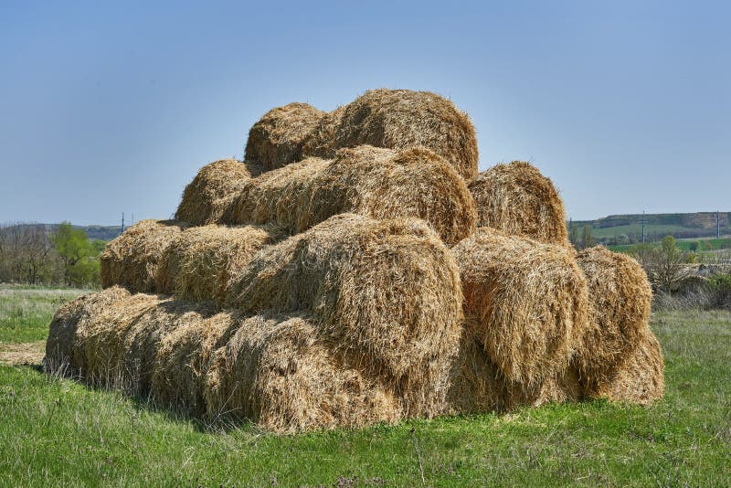 Round haystacks stock image. Image of heap, equipment - 70251969