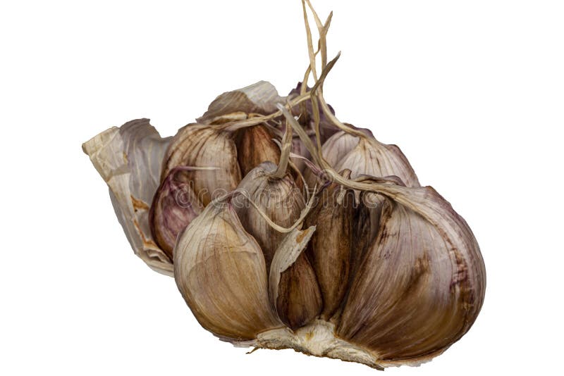 Round Head of Garlic on a White Background Close Up Stock Photo - Image ...