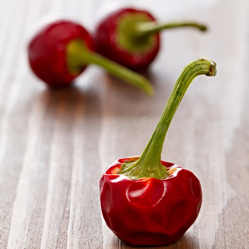 Red Hot Round Chilli Pepper Stock Photo - Image of cooking, gourmet ...