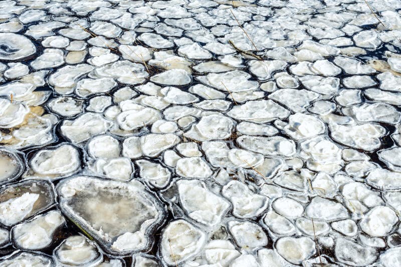 Round ice floes stock image. Image of nature, beauty - 167679911