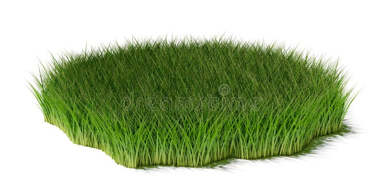 Round Irregular Circle Patch or Island of Uncut Long Green Grass ...