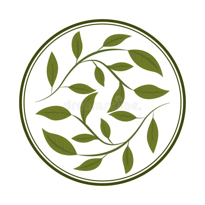 Round label leaves stock vector. Illustration of vector - 242973018