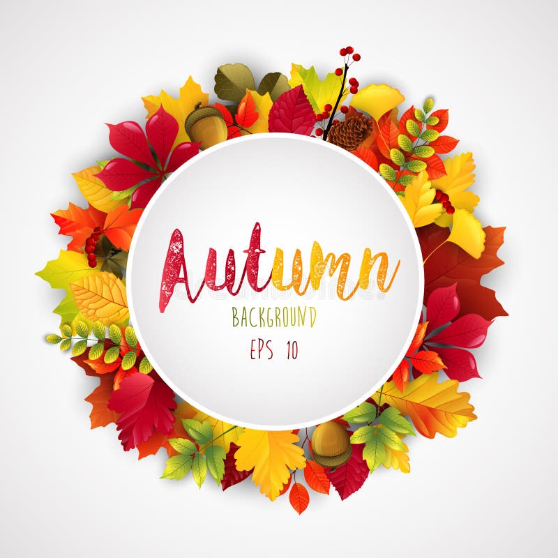 Round Label with Various Autumn Leaves Stock Vector - Illustration of ...