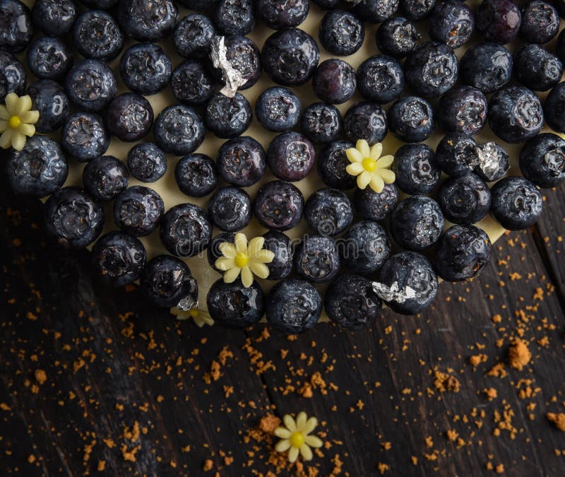 Round Large Blueberry Cheesecake Stock Photo - Image of healthy ...