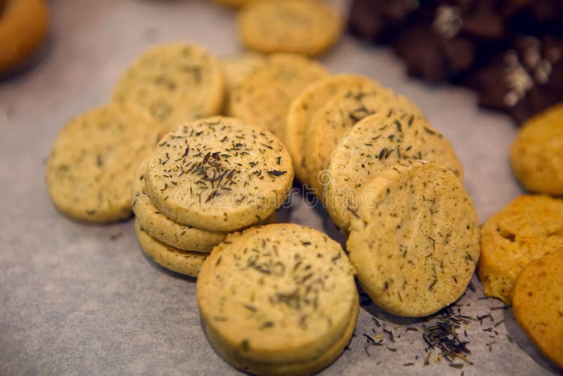 Round Little Cookies with Chocolate Stock Image - Image of little ...