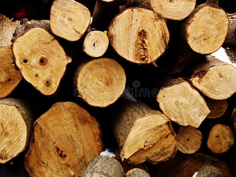 Round log stock image. Image of wood, survive, round - 23565253