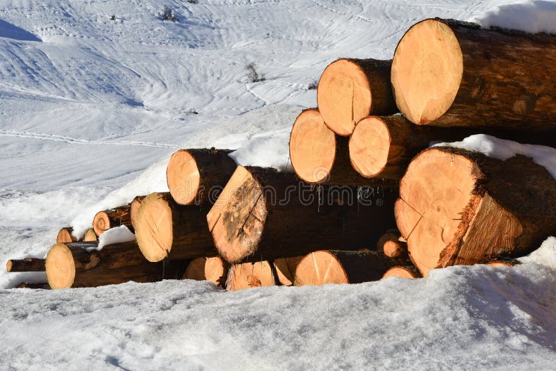 Round Logs of Wood Lying in Snow Stock Image - Image of industry ...