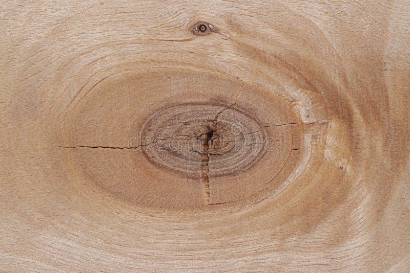 Round Mark from Wooden Knot Light Brown Background Stock Photo - Image ...