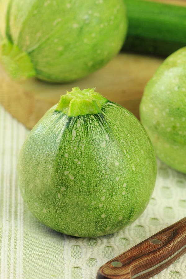 Round marrow stock image. Image of diet, harvest, garden - 25432017