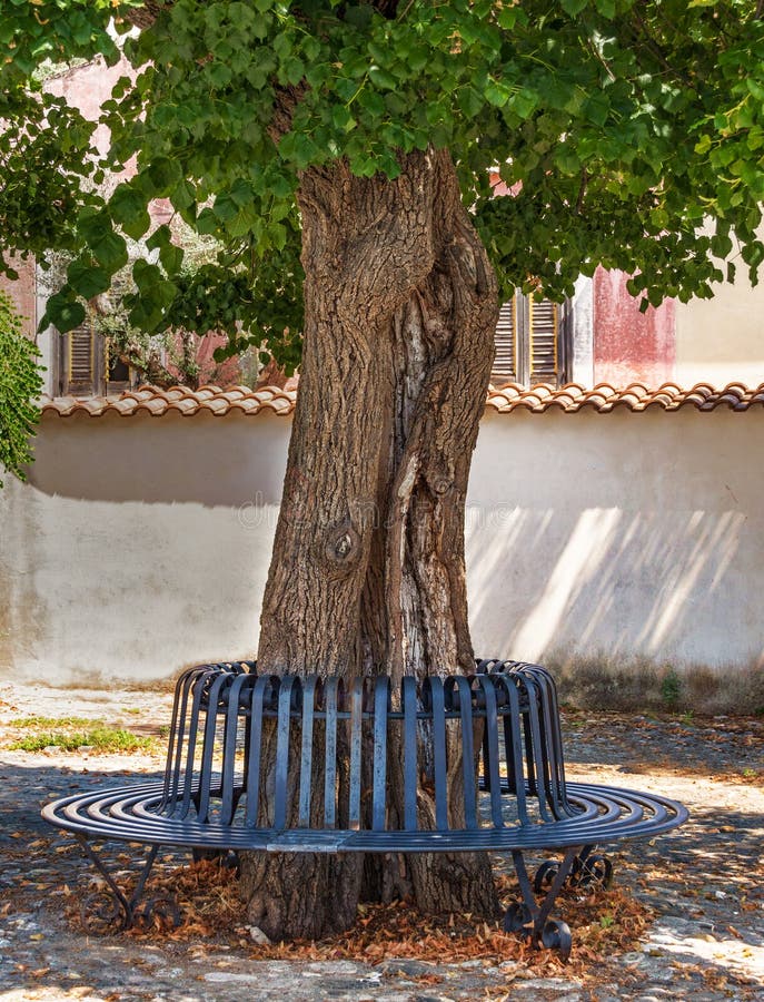 Round Metal Bench Around a Tree Stock Image - Image of season, tree ...