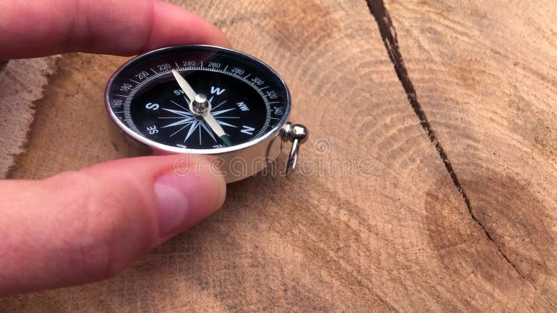 Human Fingers Touching an Engorged Hard Tick Stock Footage - Video of ...