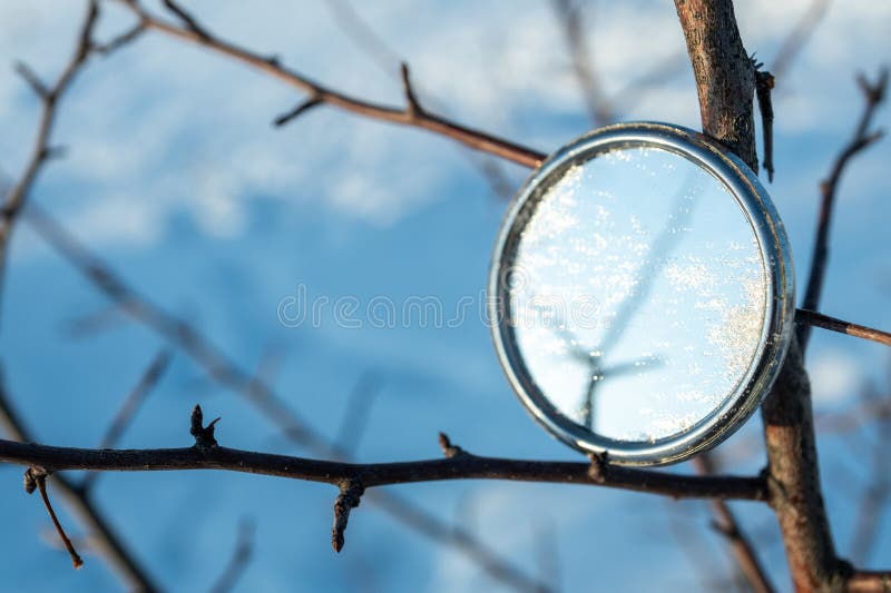 Round Mirror Low Depth of Field on a Tree on a Winter Day Stock Photo ...