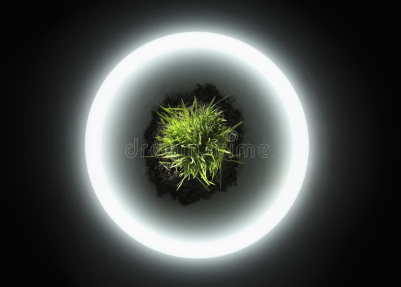 Round Neon Light Surrounding a Patch of Grass in Soil. Conceptual Image ...