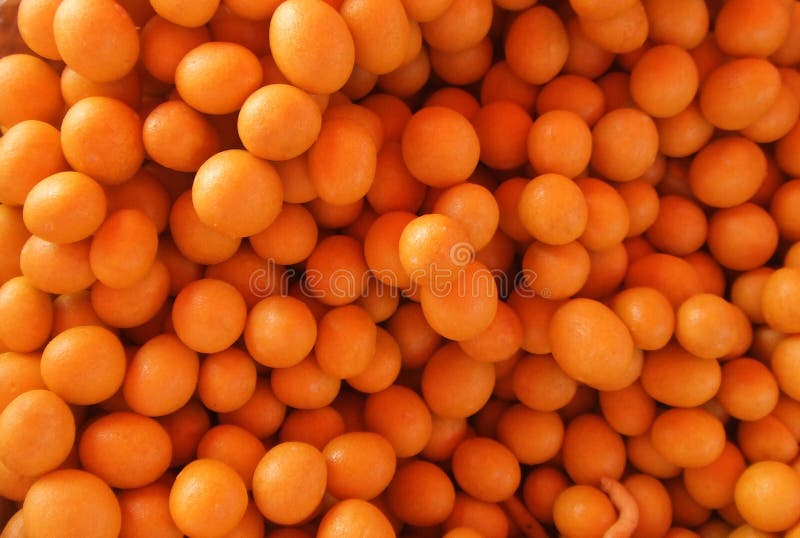 Round Nut Picture. Image: 1325561