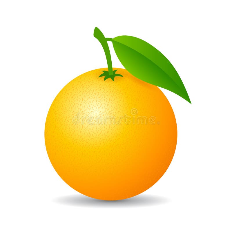 Round Orange Fruit Vector Icon Stock Vector - Illustration of ...