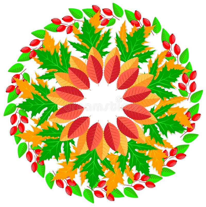 Round Ornaments Pattern Autumn Leaves Stock Vector - Illustration of ...