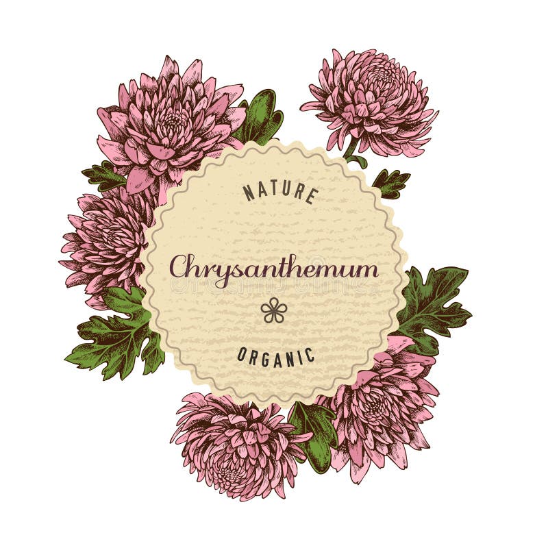 Round Paper Emblem Over Asters. Hand Drawn Vector Illustration Stock ...