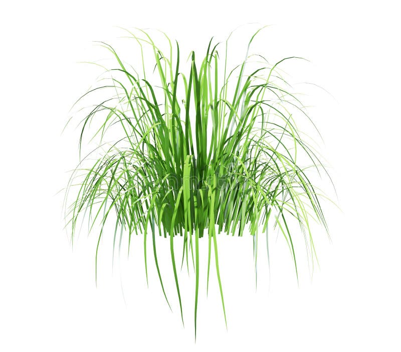 Round Patch of Fresh Grass 3d Render Stock Illustration - Illustration ...