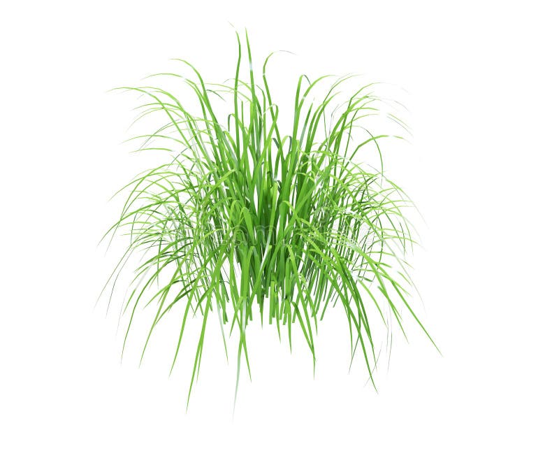 Round Patch of Fresh Grass 3d Render Stock Image - Image of ...