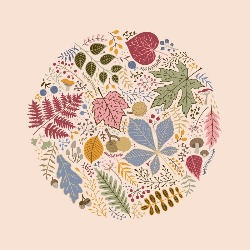 Round Pattern of Leaves, Berries and Branches Stock Vector ...