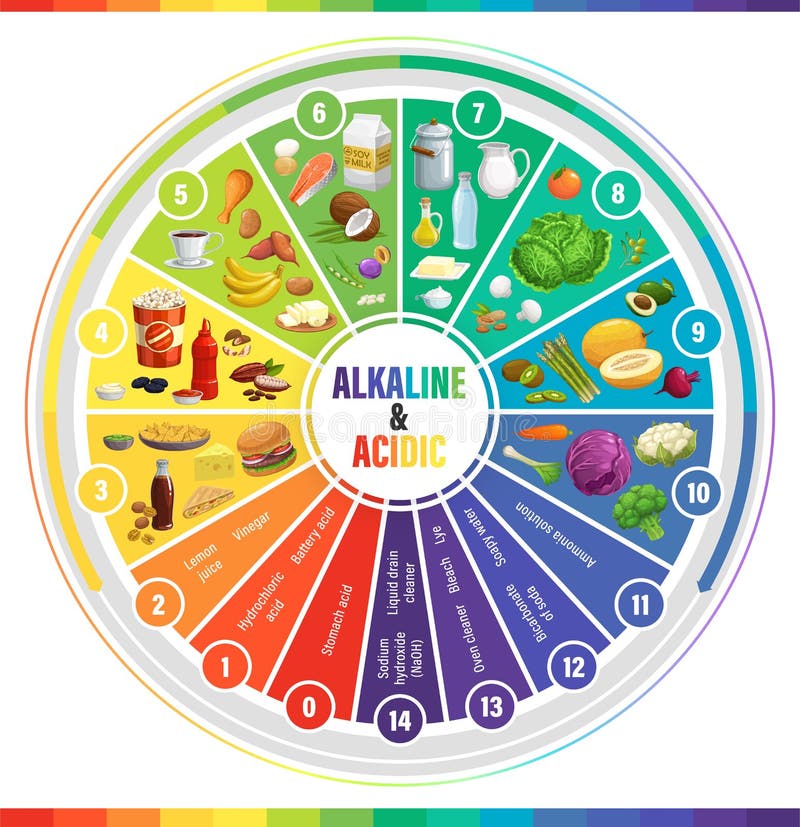 Round PH Scale Indicators Chart of Acids Balance Stock Vector ...