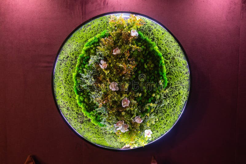 Round Picture of Green Decorative Moss with LED Lighting on the Wall ...