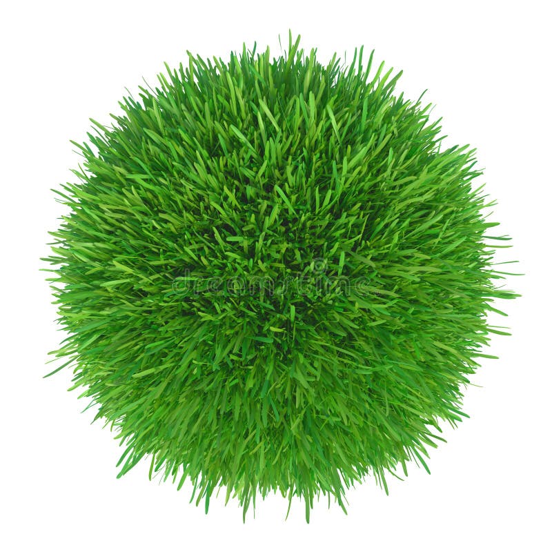 Round Piece of Cropped Grass To Be Installed Stock Photo - Image of ...