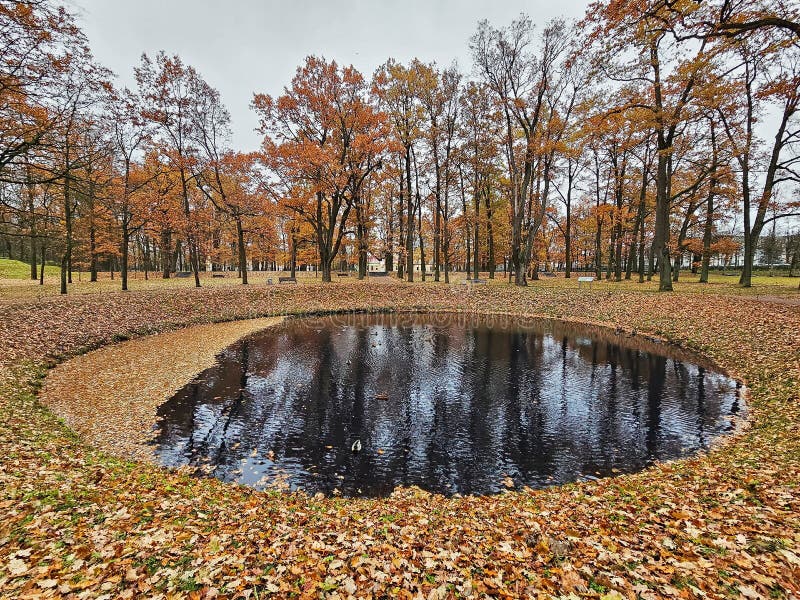 Round Pond in Autumn. Fallen Leaves on the Surface of the Water in the ...