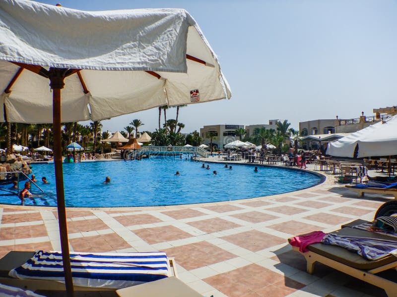 Round Pool with Lounges and Palm Trees in Egypt Stock Image - Image of ...