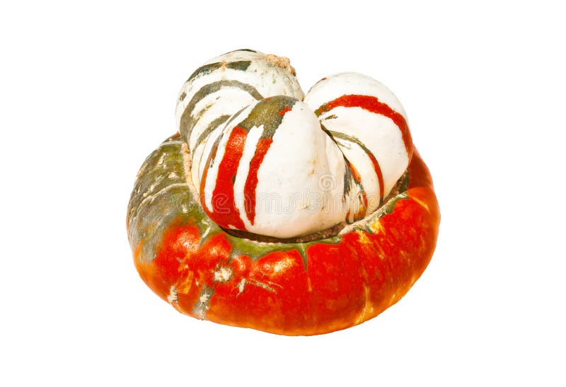 Round Pumpkin stock photo. Image of healthy, peel, delicious - 26181380