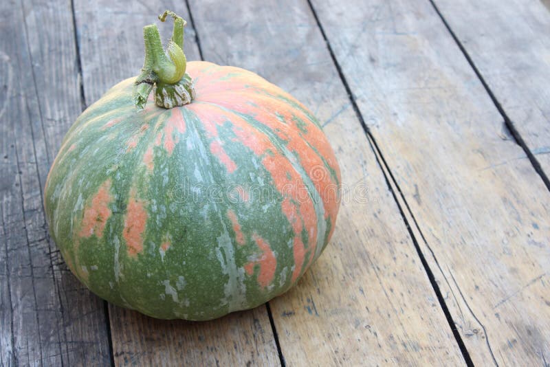Round pumpkin on board stock image. Image of natural - 78104145