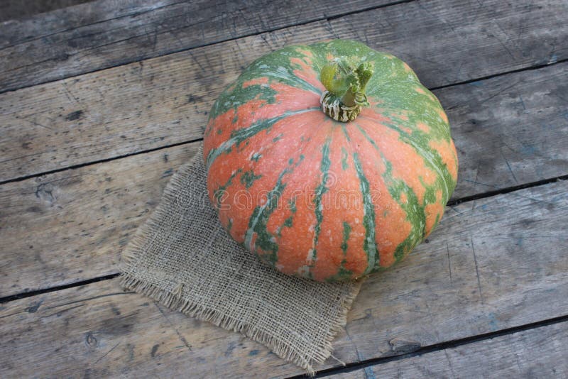 Round pumpkin on board stock image. Image of chilean - 78104301