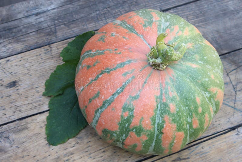 Round pumpkin on board stock photo. Image of american - 78417972
