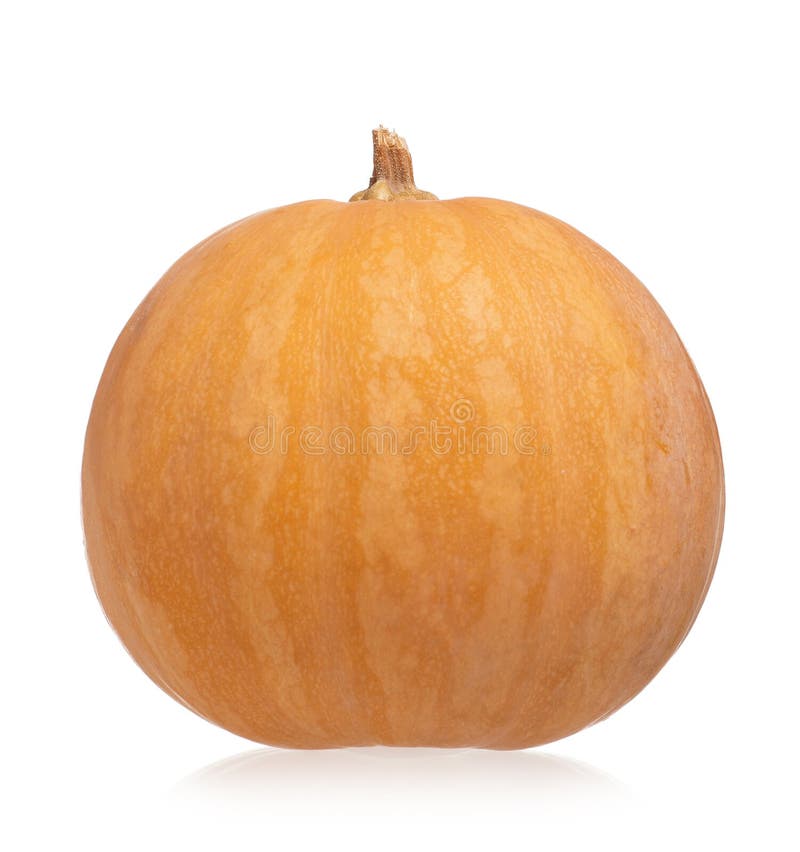 Round Pumpkin in Shade of Large Leaves Stock Photo - Image of ...