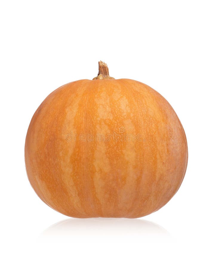 Round Pumpkin in Shade of Large Leaves Stock Photo - Image of ...