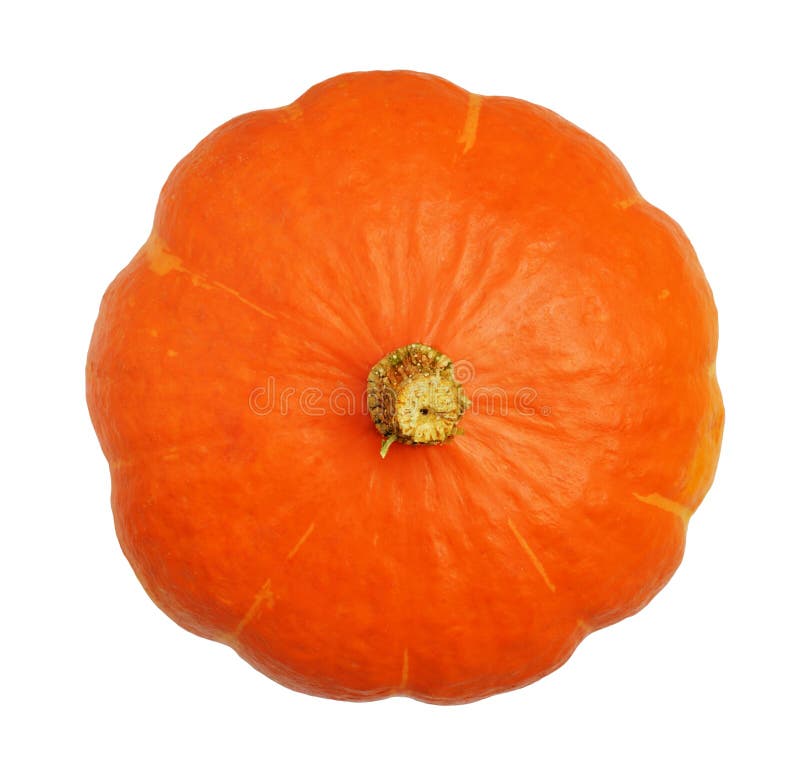 Round pumpkin. Top view. stock photo. Image of healthy - 102914436