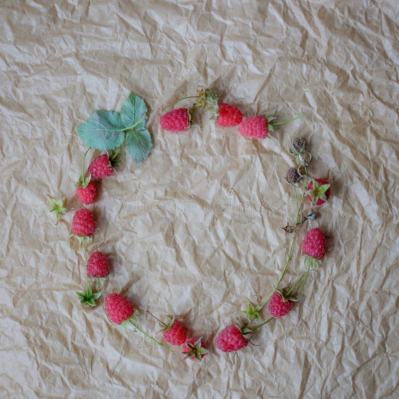 Round raspberry wreath stock photo. Image of creative - 102825400