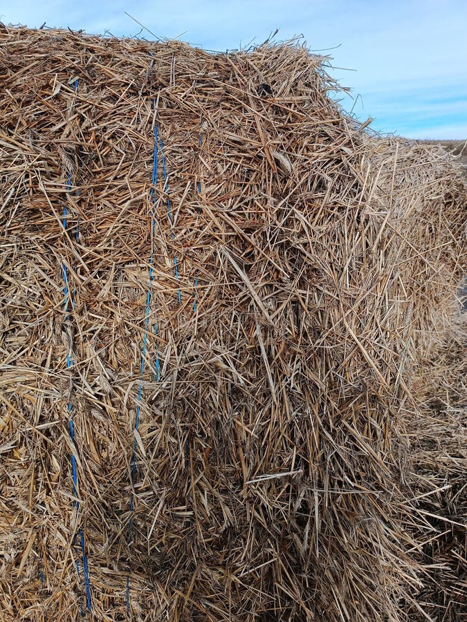 Round Rectangular Large Hay Bale Roll on Field. Stack of Straw Stock ...