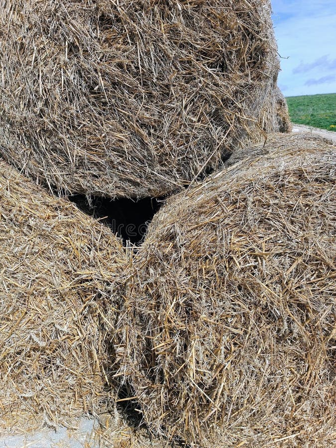 Round Rectangular Large Hay Bale Roll on Field. Stack of Straw Stock ...