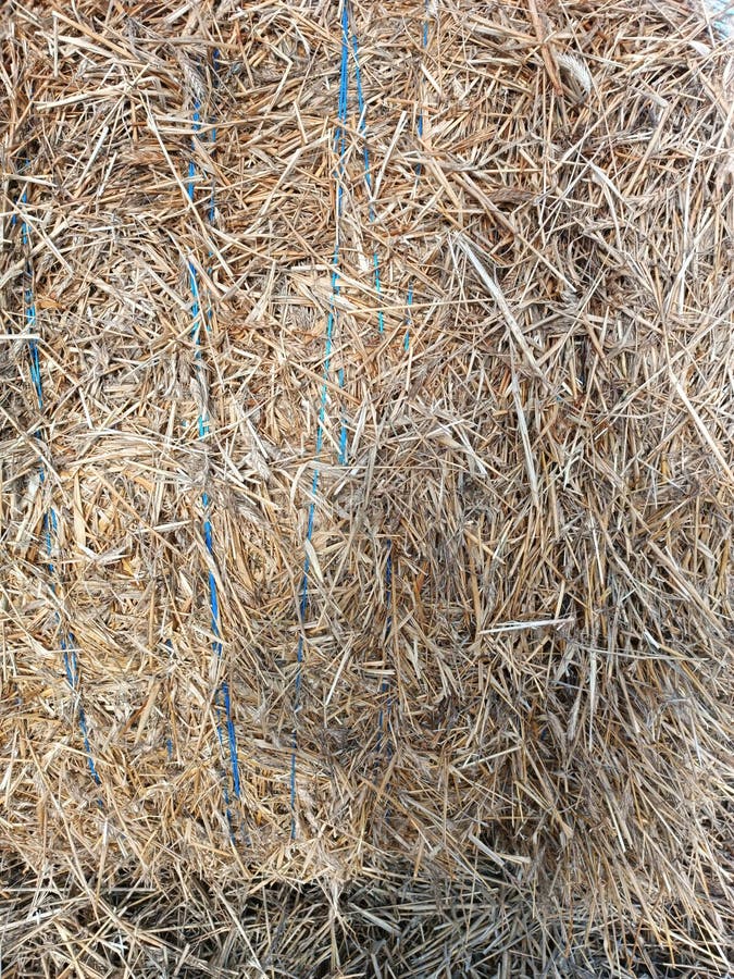 Round Rectangular Large Hay Bale Roll on Field. Stack of Straw Stock ...