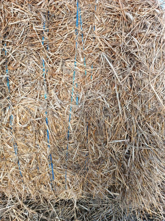 Round Rectangular Large Hay Bale Roll on Field. Stack of Straw Stock ...